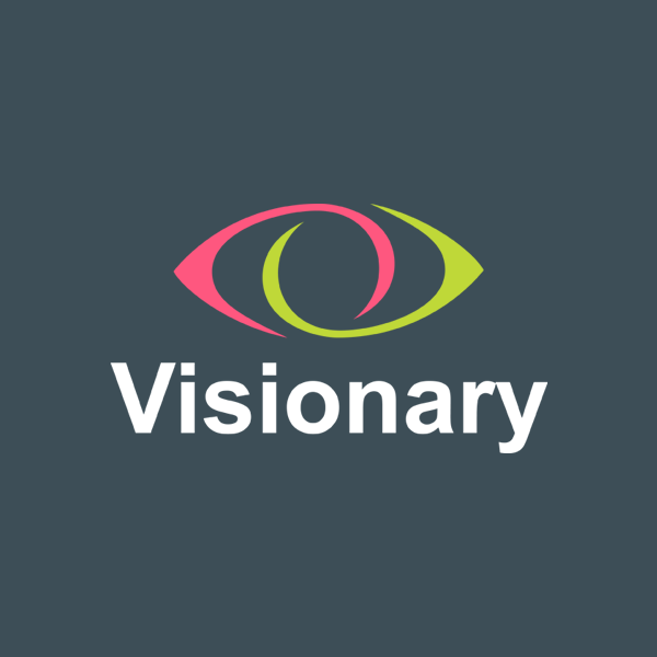 Visionary Team - Visionary